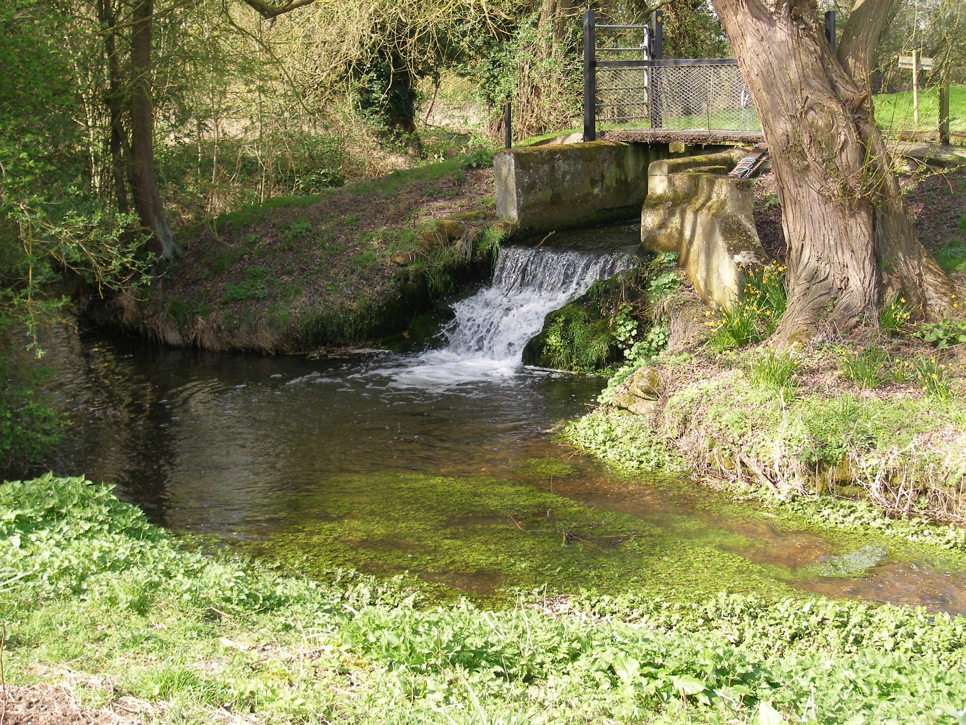 Opening Times & Prices – Pakenham Water Mill